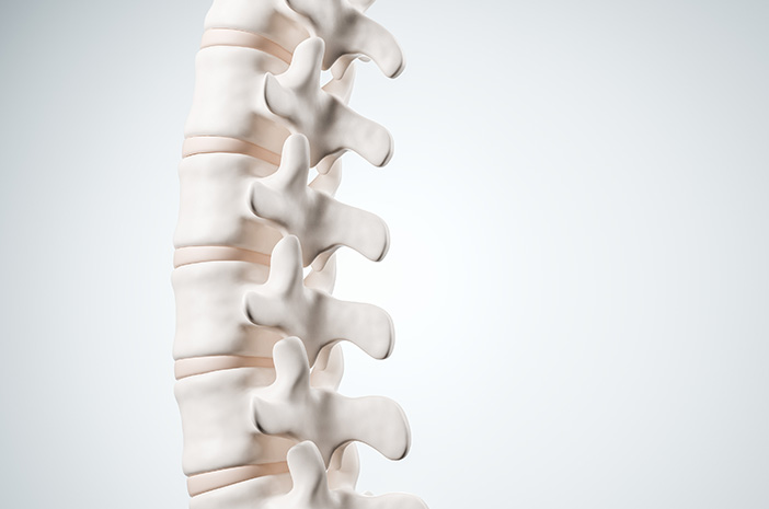 Spondylosis - Gejala, Penyebab, Pencegahan & Pengobatan