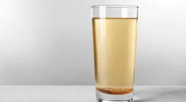 Escherichia coli (E. coli) - Penyebab, Gejala, dan Pengobatan | Halodoc