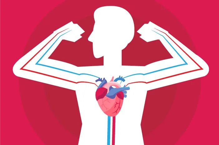 Begini Cara Kerja Jantung Memompa Darah ke Seluruh Tubuh