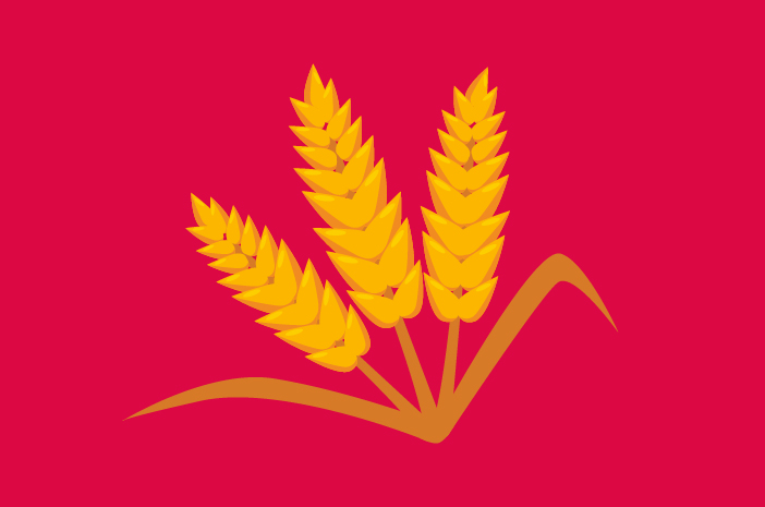 Ini Manfaat Barley untuk Kesehatan dan Cara Mengolahnya