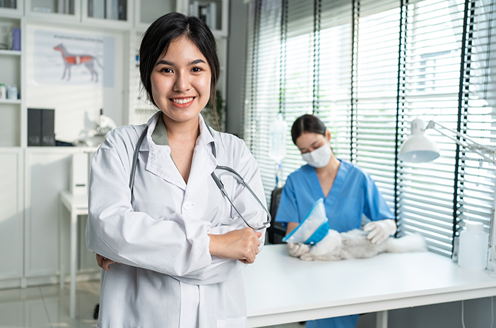 3 Rekomendasi Dokter Hewan Terbaik di Denpasar