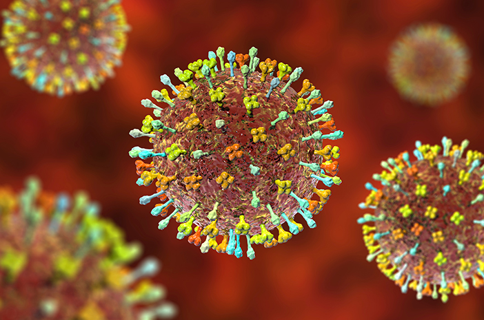 Ini Langkah Pencegahan Virus Hendra yang Perlu Diketahui