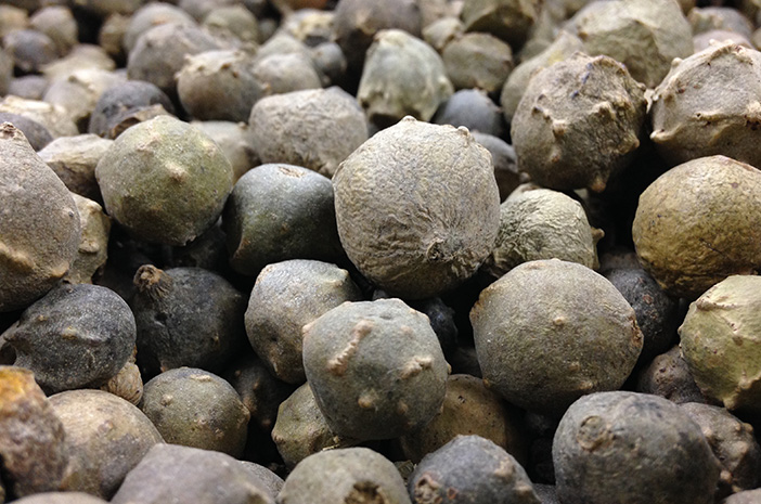 5 Manfaat Buah Manjakani bagi Kesehatan Wanita