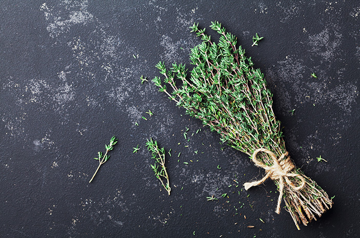Jarang Diketahui, Ini 4 Manfaat Daun Thyme untuk Kesehatan
