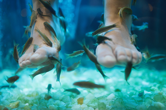 Adakah Efek Samping Melakukan Terapi Ikan?