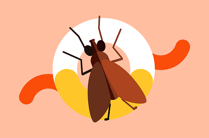 Mengenal Lalat Tse Tse yang Bikin Penyakit Tidur