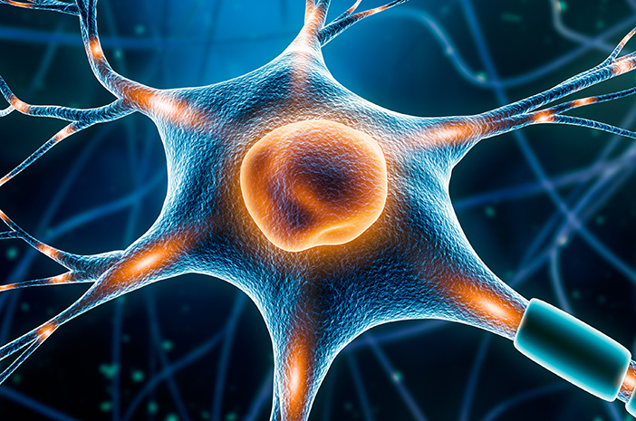 Kenali Fungsi Akson dan Neuron pada Badan Sel