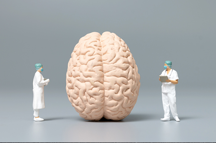 Ketahui Penyebab Penyusutan Otak di Usia Muda