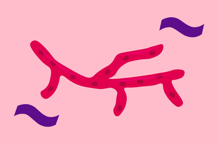 Pengertian Hifa, Jenis, dan Fungsinya