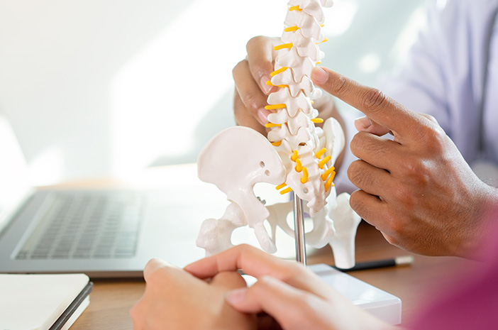 Mengenal Bagian Tulang Pipih dan Fungsinya dalam Sistem Rangka