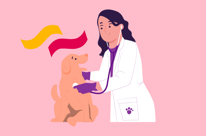 Dokter Hewan - Penyakit dan Tindakan yang Bisa Ditangani | Halodoc