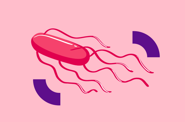 Infeksi Salmonella - Gejala, Penyebab, dan Pengobatan | Halodoc
