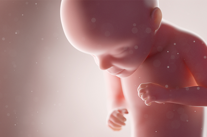 Penyebab Jantung Janin Tak Berdetak dalam Kandungan