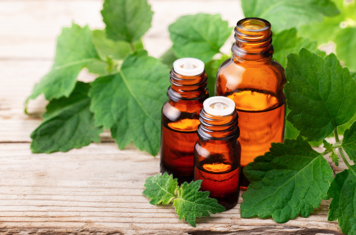 Mengenal Patchouli Oil dan Manfaatnya untuk Kesehatan