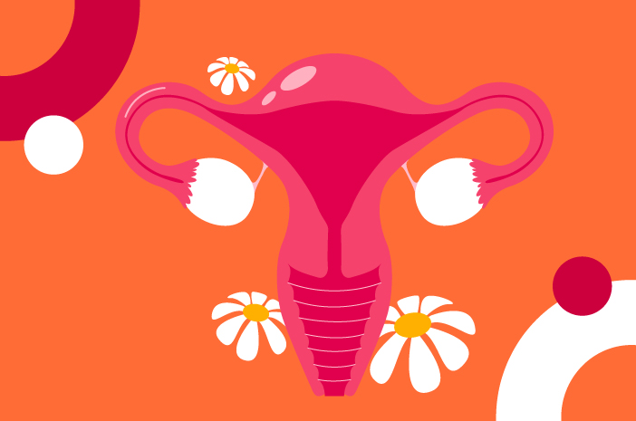 Ini Berbagai Fungsi Rahim dalam Sistem Reproduksi Wanita