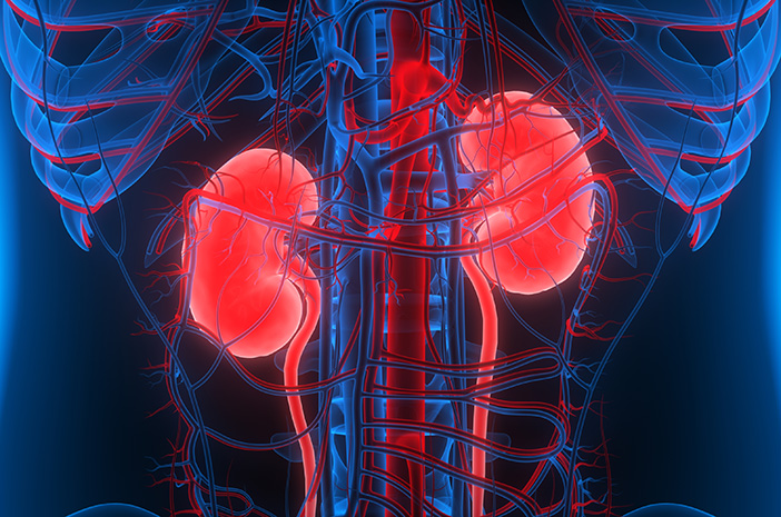 Benarkah Kelebihan Protein Bisa Merusak Fungsi Ginjal?