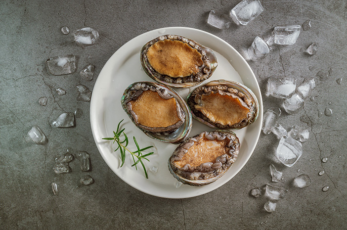 Mengenal Kandungan Nutrisi dalam Kerang Abalone