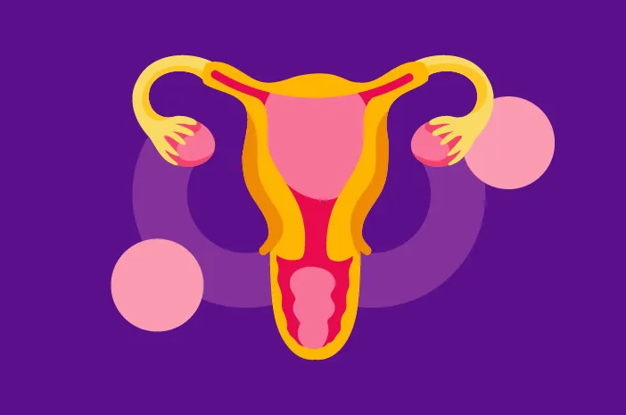 Penting, Ini Fungsi Ovarium bagi Reproduksi Wanita