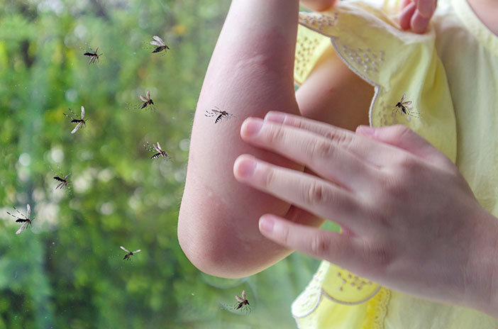 Bintik Merah Tanda DBD, Begini Cara Mengenalinya