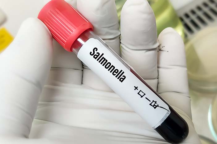 Waktu Terbaik untuk Lakukan Pemeriksaan Anti-Salmonella IgM