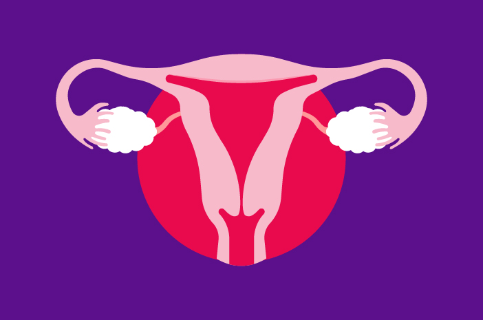 Infeksi Rahim - Gejala, Penyebab, dan Pengobatan | Halodoc