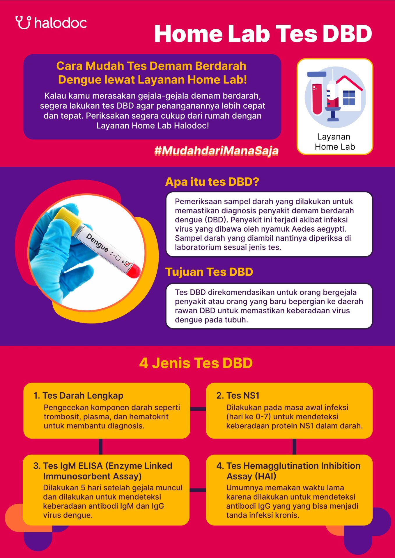 Tes DBD (Dengue): Tujuan, Jenis, dan Prosedur