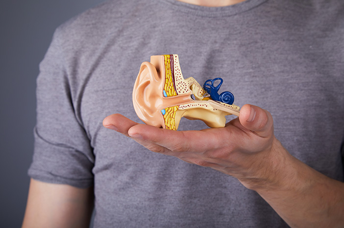 3 Bagian Telinga dan Fungsinya untuk Proses Pendengaran
