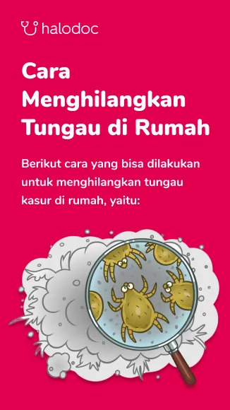 3 Bahaya Gigitan Tungau Kasur dan Cara Mengobatinya