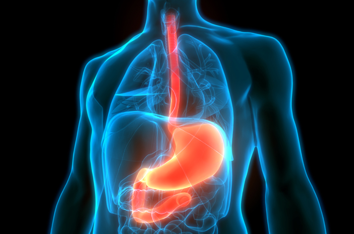 Ini yang Terjadi pada Tubuh saat Alami Barrett's Esophagus