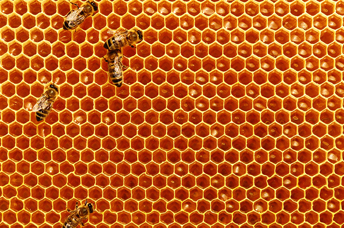 Trypophobia - Gejala, Penyebab, Pencegahan & Pengobatan