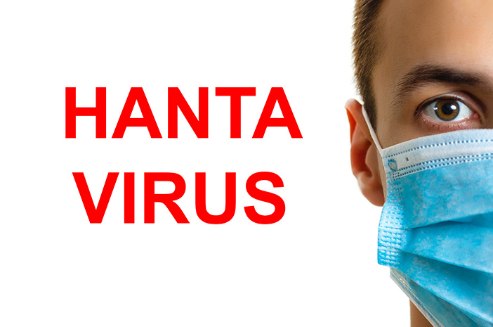Apa Itu Hantavirus? Gejala, Penyebab, dan Pengobatan | Halodoc