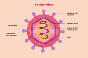Apa itu Virus? Gejala, Penyebab & Pengobatan - Halodoc