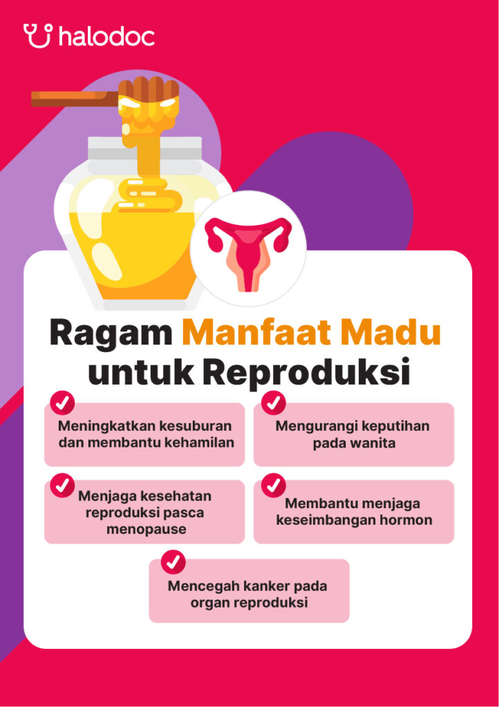 6 Manfaat Madu untuk Kesehatan Reproduksi