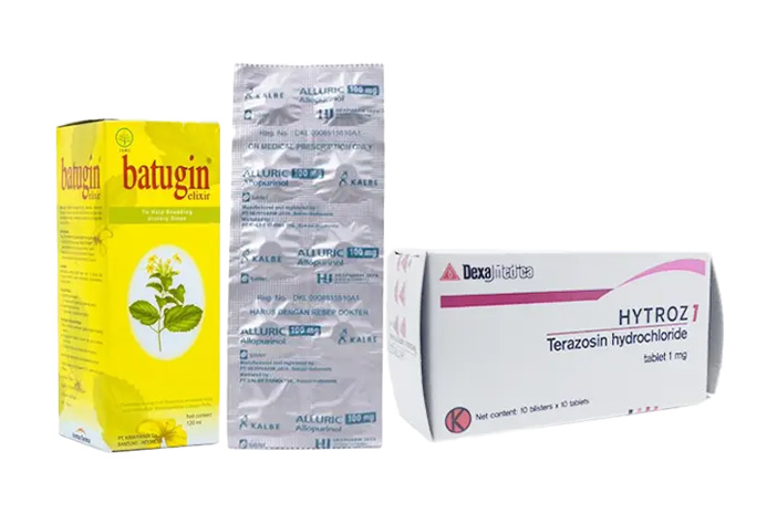 Berbagai Obat Batu Ginjal Sesuai Jenisnya