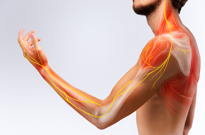 Mengenal 7 Jenis Saraf dalam Tubuh dan Cara Merawatnya