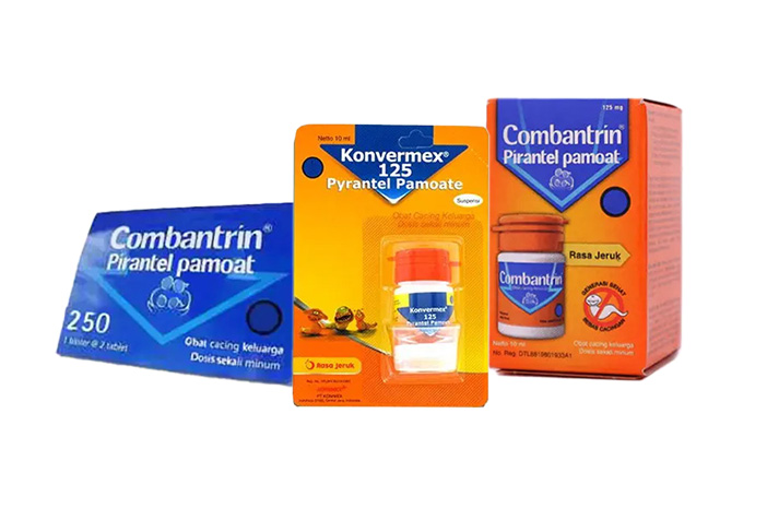 7 Rekomendasi Obat Cacing yang Manjur untuk Anak dan Orang Dewasa