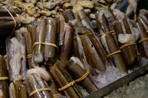 Kenali 8 Jenis Kerang dan Manfaatnya untuk Kesehatan Tubuh