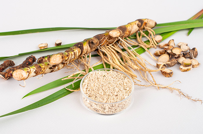 Ini 5 Manfaat Dlingo Bengle untuk Kesehatan yang Jarang Diketahui