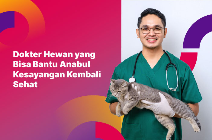 5 Dokter Hewan yang Bisa Bantu Anabul Kesayangan Kembali Sehat