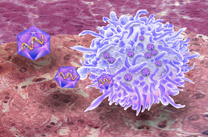 Mengenal Limfosit: Jenis dan Kondisi yang Memengaruhi Kadarnya