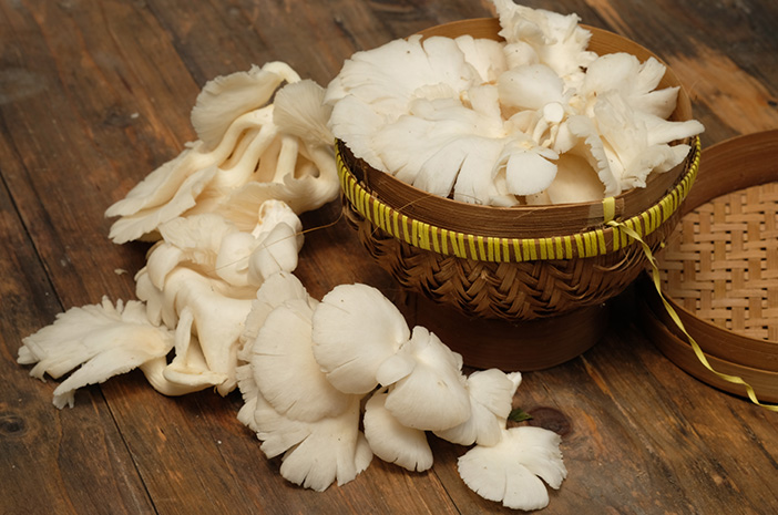 Jamur Tiram: Klasifikasi, Cara Budidaya, dan Manfaatnya untuk Kesehatan