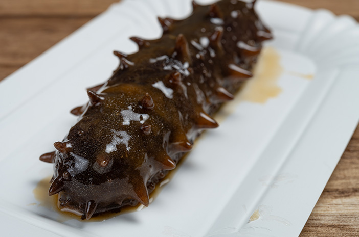 Teripang: Ini Jenis, Kandungan Nutrisi dan Manfaat untuk Kesehatan