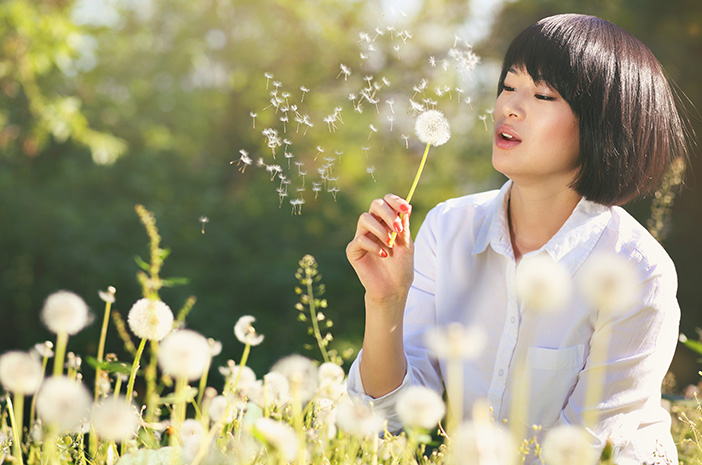 Mengenal Asal Usul Bunga Dandelion dan Manfaatnya bagi Tubuh