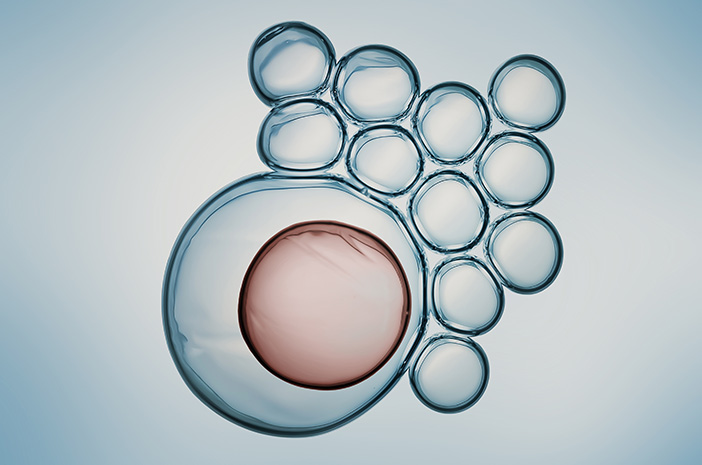 Begini Struktur Sel Manusia dan Fungsinya