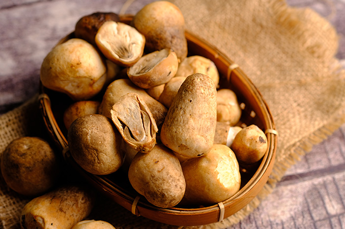 Jamur Merang: Manfaat Sehat dan Cara Mudah Budidaya