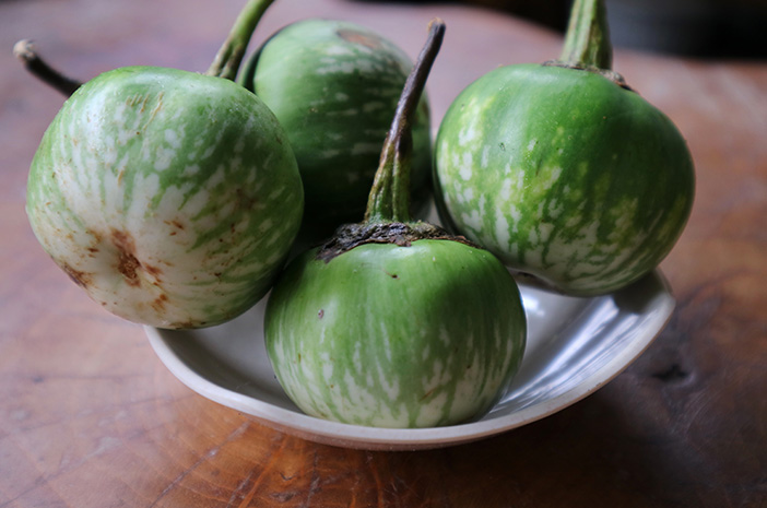 Terong Hijau: Manfaat dan Resep Lezat, Mudah Dicoba!