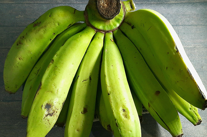 Pisang Ambon Lumut: Manfaat, Tips Pilih, dan Cara Budidaya