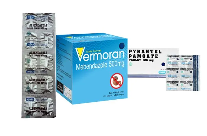 7 Rekomendasi Obat Cacing yang Manjur untuk Anak dan Orang Dewasa