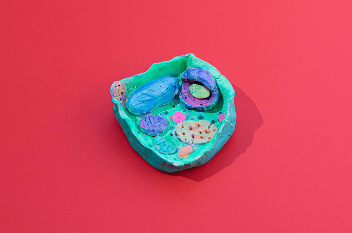 Sel Sentriol, Ini Pengertian, Ciri-Ciri, dan Fungsinya