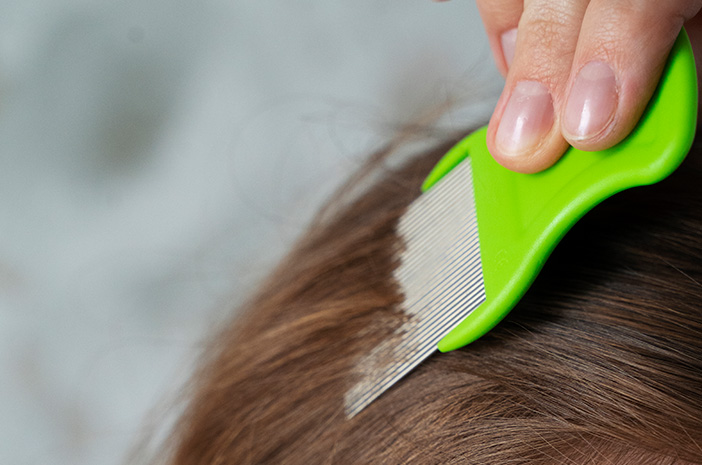 Ini Cara Menggunakan Sisir Kutu yang Benar